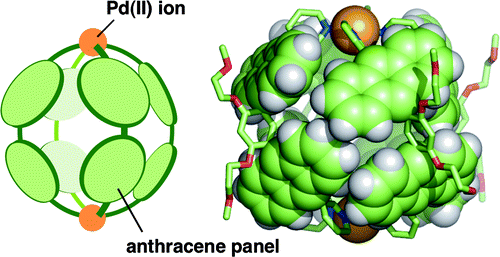 An M2L4Molecular Capsule with an Anthracene Shell: Encapsulation of ...