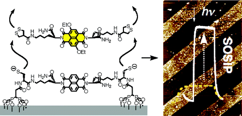 Self-Organizing Surface-Initiated Polymerization: Facile Access to ...