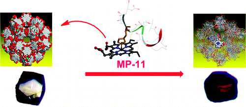 MP-11 固定在介孔金属-有机框架中，MP-11@mesoMOF：酶催化的新平台,Journal of the American ...