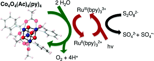 受光合作用启发的 Co4O4“Cubane”水氧化催化剂,Journal of the American Chemical Society ...