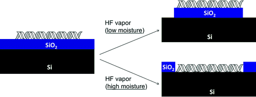 Molecular Lithography through DNA-Mediated Etching and Masking of SiO2 ...