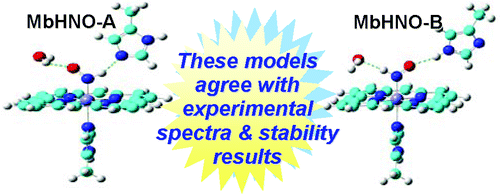 HNO Binding in a Heme Protein: Structures, Spectroscopic Properties ...