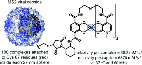 Multivalent, High-Relaxivity MRI Contrast Agents Using Rigid Cysteine ...