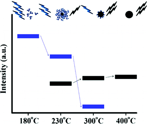 Formation Mechanism of Carbogenic Nanoparticles with Dual ...