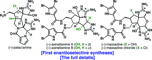 Enantioselective Total Syntheses of (−)-Palau’amine, (−)-Axinellamines ...