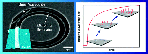 Real-Time Monitoring of Surface-Initiated Atom Transfer Radical ...