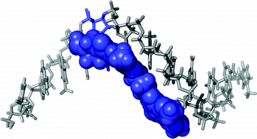 单链 DNA/吡咯并苯二氮卓加合物的观察,Journal of the American Chemical Society - X-MOL