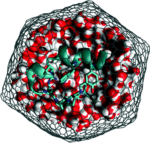 Simulation Studies of Protein Folding/Unfolding Equilibrium under Polar ...