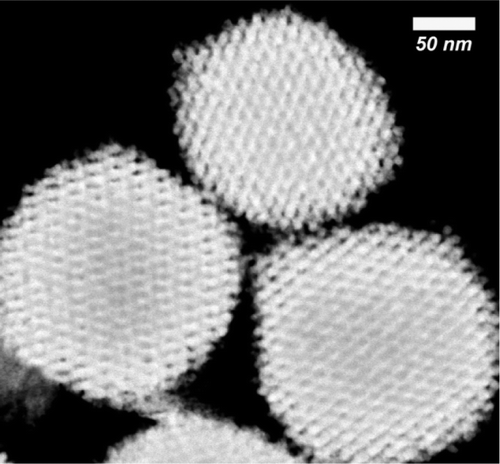 Shape- and Size-Controlled Synthesis in Hard Templates: Sophisticated ...