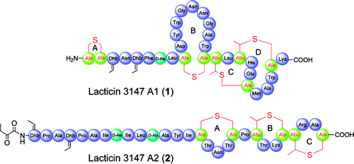 Solid Supported Chemical Syntheses of Both Components of the ...