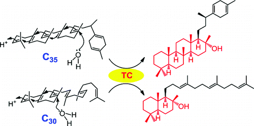 Bifunctional Triterpene/Sesquarterpene Cyclase: Tetraprenyl-β-curcumene ...