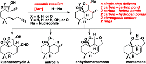 金催化串联反应实现的 Drimane 型倍半萜类化合物的全合成,Journal of the American Chemical ...