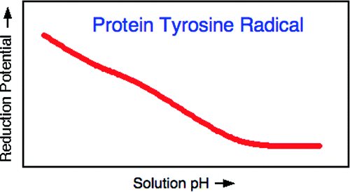 Electrochemical and Structural Properties of a Protein System Designed ...