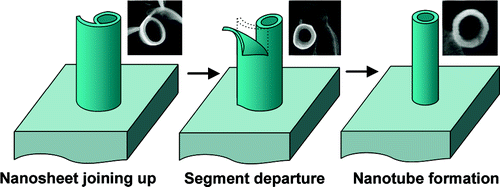A Facile Vapor-Phase Hydrothermal Method for Direct Growth of Titanate ...