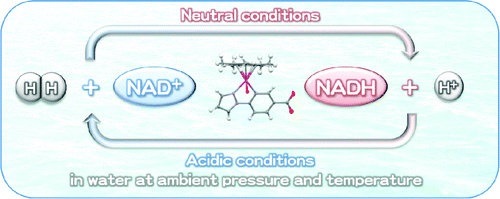 Efficient Catalytic Interconversion between NADH and NAD+Accompanied by ...