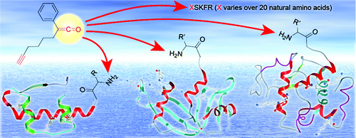 Modification of N-Terminal α-Amino Groups of Peptides and Proteins Using Ketenes,Journal of the ...