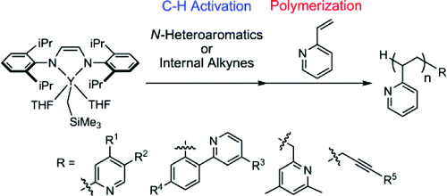 End-Functionalized Polymerization of 2-Vinylpyridine through Initial C ...