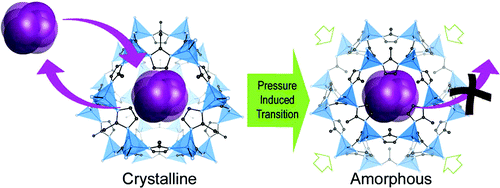 Trapping Guests within a Nanoporous Metal–Organic Framework through ...
