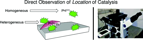 Homogeneous vs Heterogeneous Polymerization Catalysis Revealed by ...