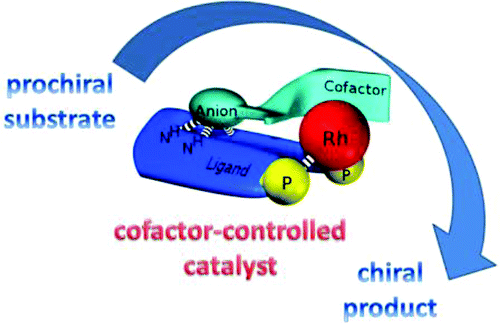 “Cofactor”-Controlled Enantioselective Catalysis,Journal of the ...