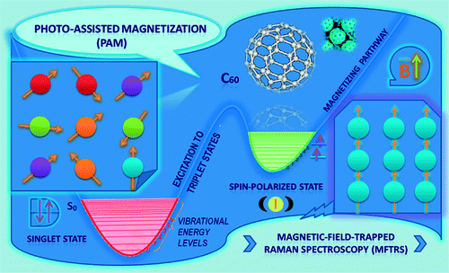富勒烯 C60 的光辅助磁化与磁场俘获拉曼散射,Journal of the American Chemical Society - X-MOL
