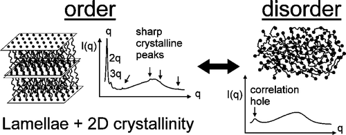 Order–Disorder Transition in Supramolecular Polymers,Journal of the ...