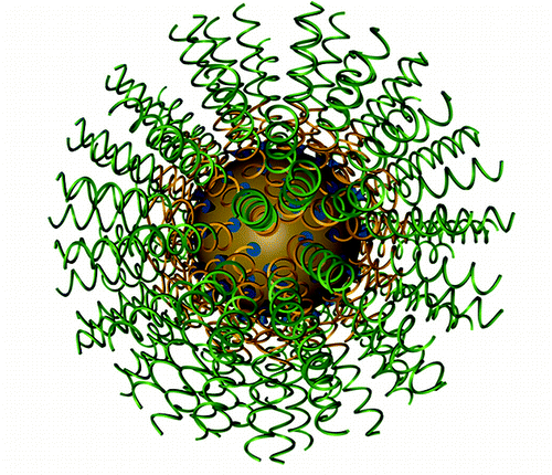 Spherical Nucleic Acids,Journal of the American Chemical Society - X-MOL