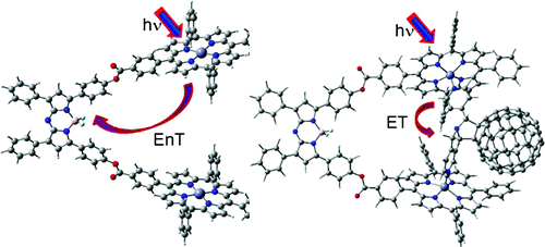 Control over Photoinduced Energy and Electron Transfer in ...
