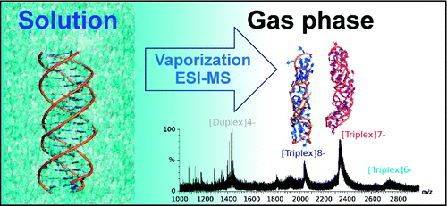 Structure of Triplex DNA in the Gas Phase,Journal of the American ...