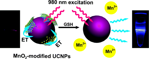 Intracellular Glutathione Detection Using MnO2-Nanosheet-Modified ...
