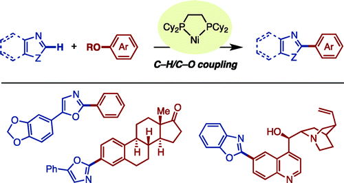 Nickel-Catalyzed C–H/C–O Coupling of Azoles with Phenol Derivatives ...