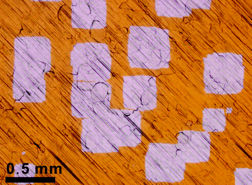 通过抑制成核在铜箔上可控合成亚毫米单晶单层石墨烯畴,Journal of the American Chemical Society - X-MOL