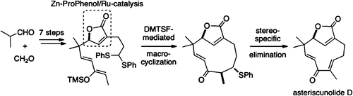 Thionium Ion Initiated Medium-Sized Ring Formation: The Total Synthesis ...