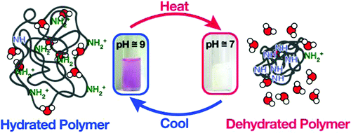 Reversible Changes in Solution pH Resulting from Changes in ...
