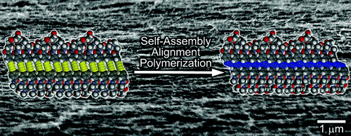 Synthesis and Alignment of Discrete Polydiacetylene-Peptide ...