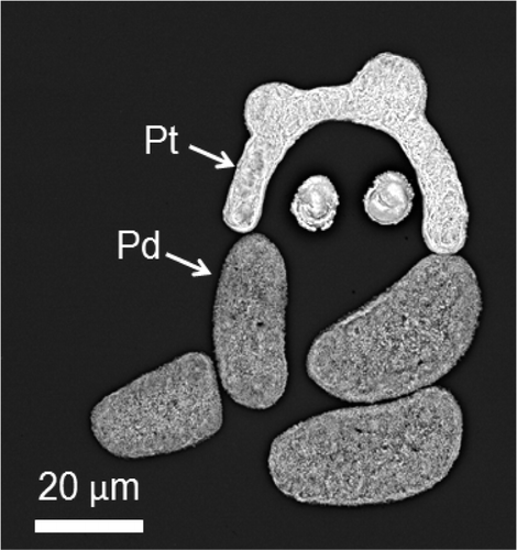 Multiphoton Lithography of Nanocrystalline Platinum and Palladium for ...