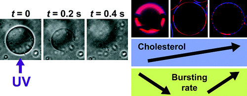 UV-Induced Bursting of Cell-Sized Multicomponent Lipid Vesicles in a ...