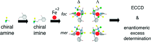 In Situ Assembly of Octahedral Fe(II) Complexes for the Enantiomeric ...