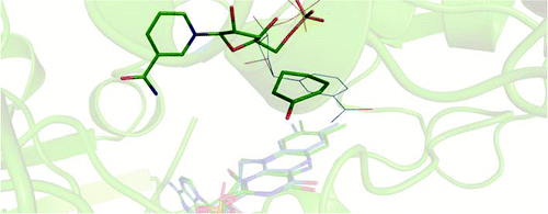 The Substrate-Bound Crystal Structure of a Baeyer–Villiger ...