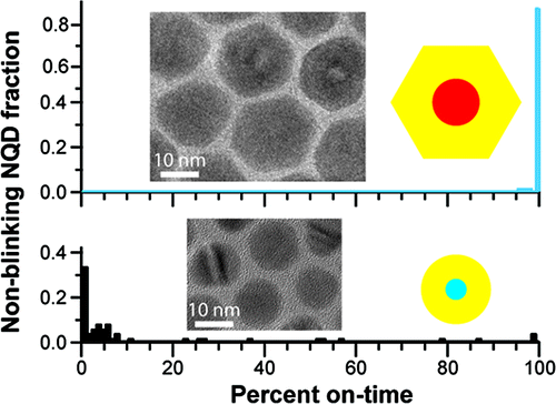 New Insights into the Complexities of Shell Growth and the Strong ...