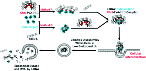 Pendant Polymer:Amino-β-Cyclodextrin:siRNA Guest:Host Nanoparticles as ...