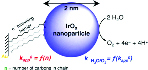 Electron Transfer Dynamics of Iridium Oxide Nanoparticles Attached to ...