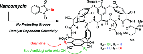 Site-Selective Bromination of Vancomycin,Journal of the American ...