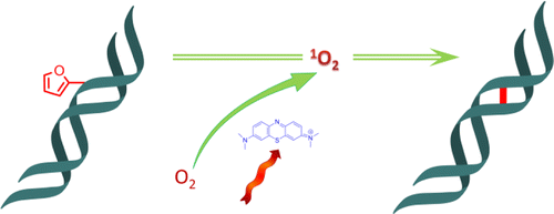 Sequence Specific DNA Cross-Linking Triggered by Visible Light,Journal ...
