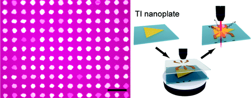 Controlled Synthesis of Topological Insulator Nanoplate Arrays on Mica ...
