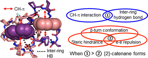 Self-Assembled Multi-Component Catenanes: The Effect of Multivalency ...
