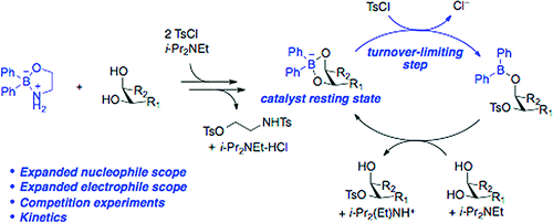 Regioselective, Borinic Acid-Catalyzed Monoacylation, Sulfonylation and ...