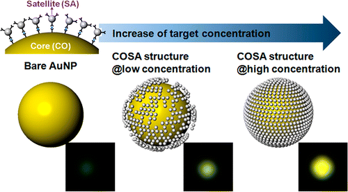 Core–Satellites Assembly of Silver Nanoparticles on a Single Gold ...