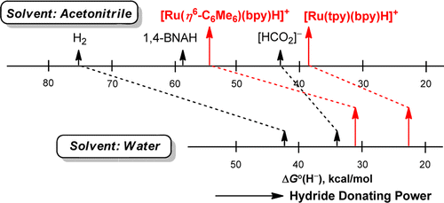 Thermodynamic and Kinetic Hydricity of Ruthenium(II) Hydride Complexes ...
