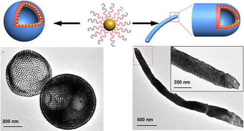 Self-Assembly of Inorganic Nanoparticle Vesicles and Tubules Driven by ...